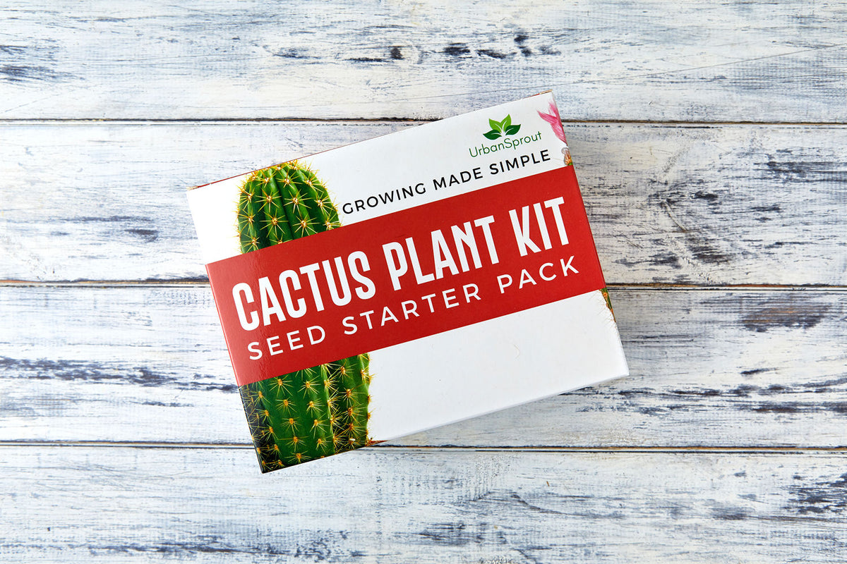 CACTUS PLANT KIT – Urban Sprout Store